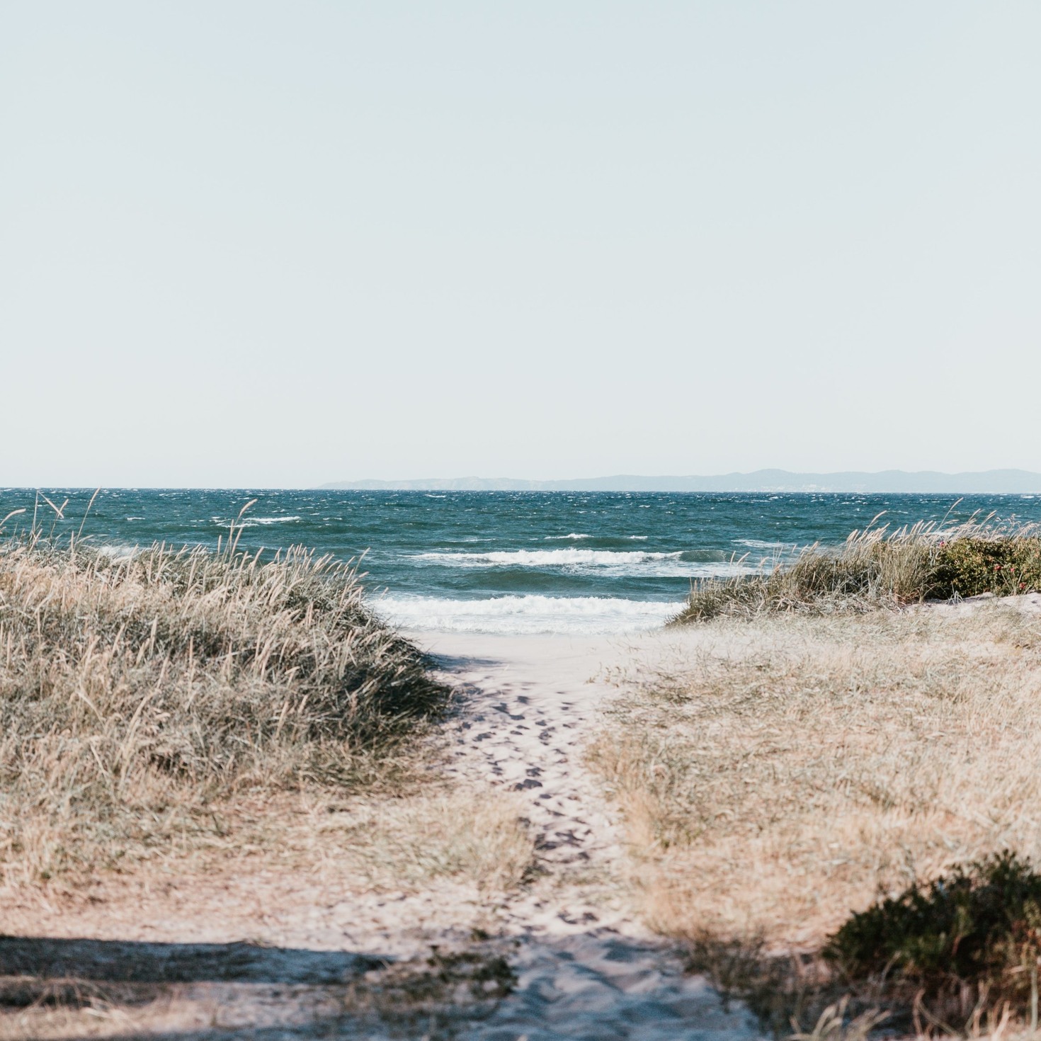 A beach promenade, network of greenery and a renewed main street ...
